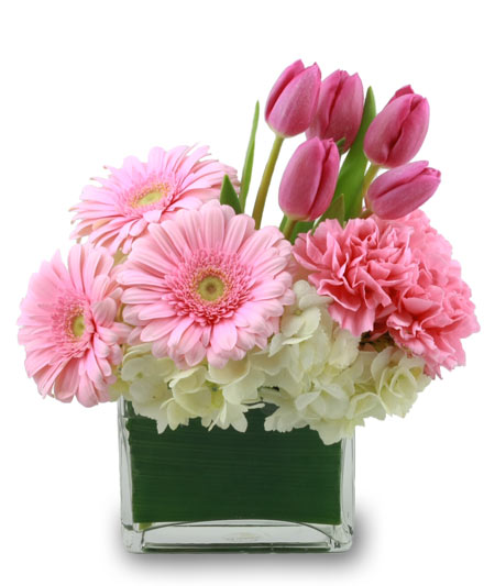 Pink Parfait – Terrafolia Florist